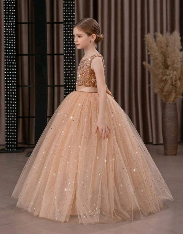 Champagne Sparkle Special Occasions Dress - The Purple Lovey